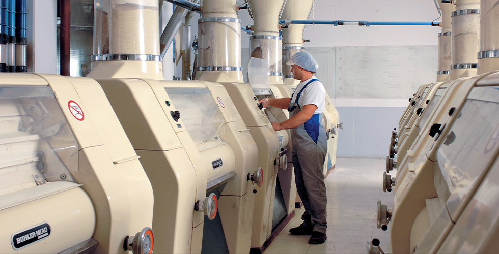 Emmermehl - Produkte aus dem Urgetreide Emmer